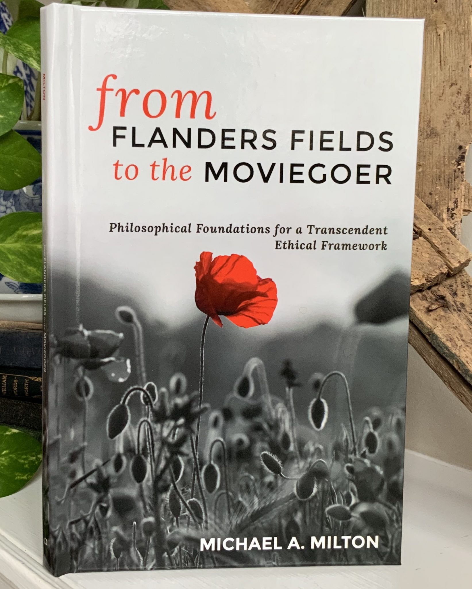 From Flanders Fields to the Moviegoer: Philosophical Foundations for a ...