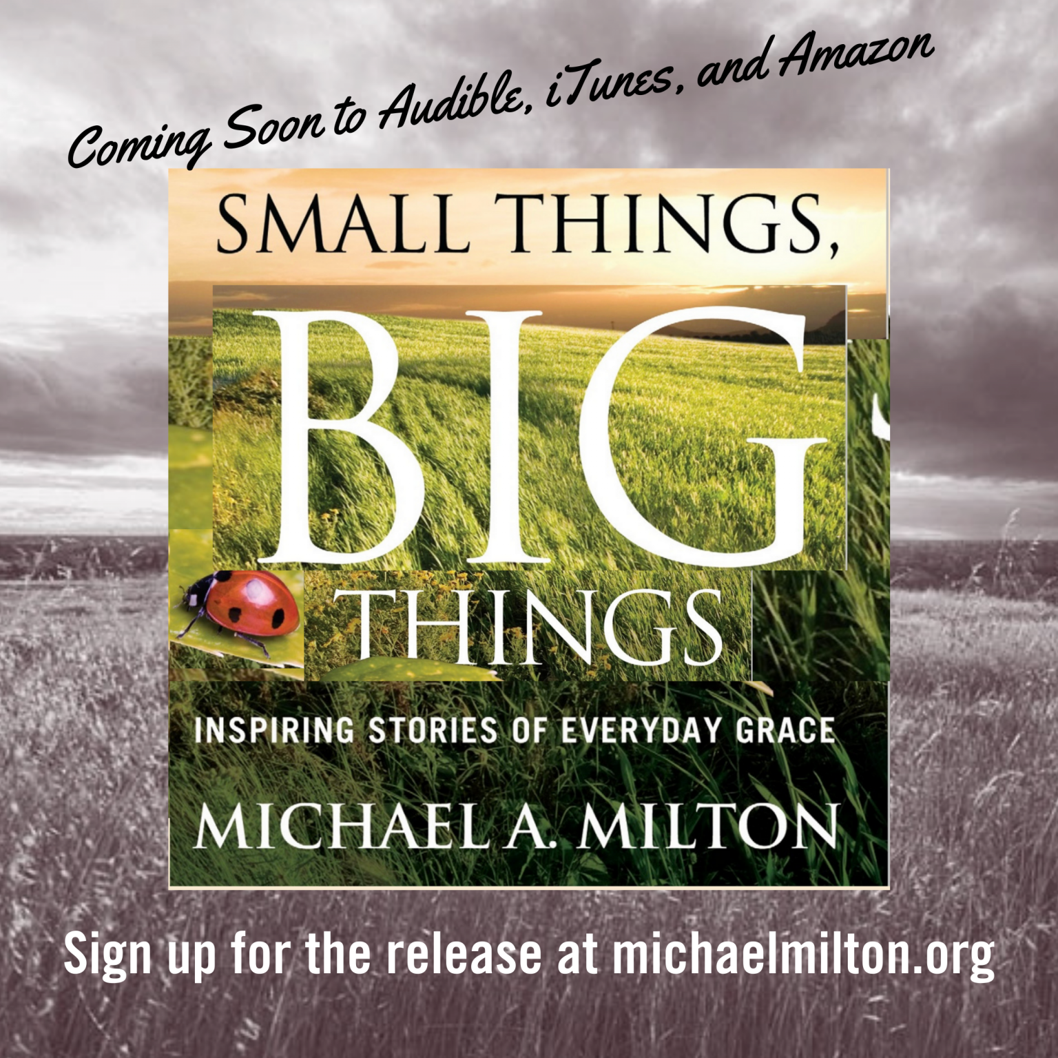 Audible Sample of Small Things, Big Things: Inspiring Stories of ...